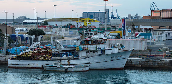 Impacts of fishing exploitation in Mediterranean sub-areas - MedECC